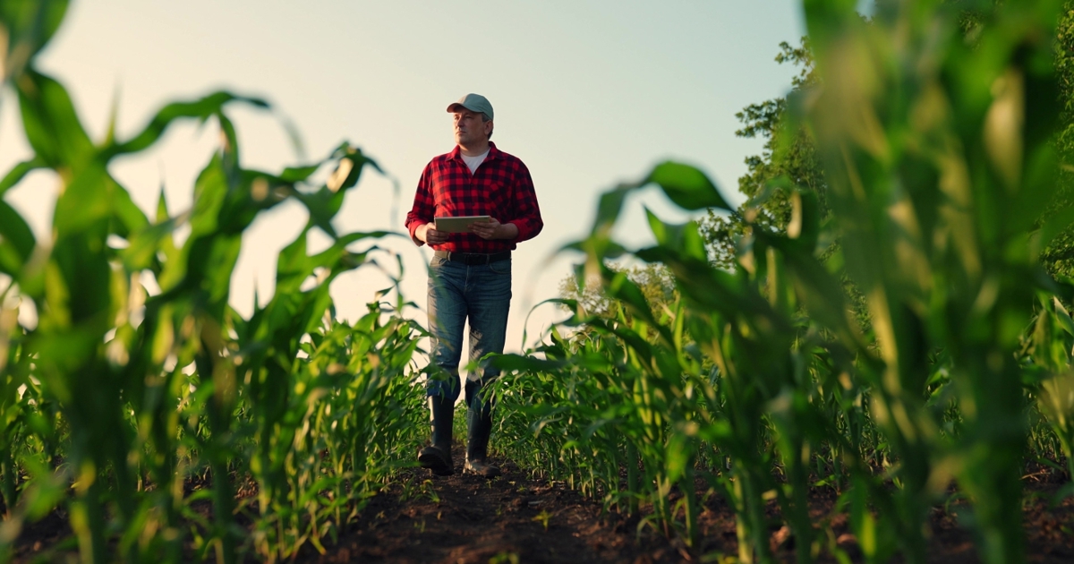 Get ready for the 2026 inheritance tax changes with an online webinar ...