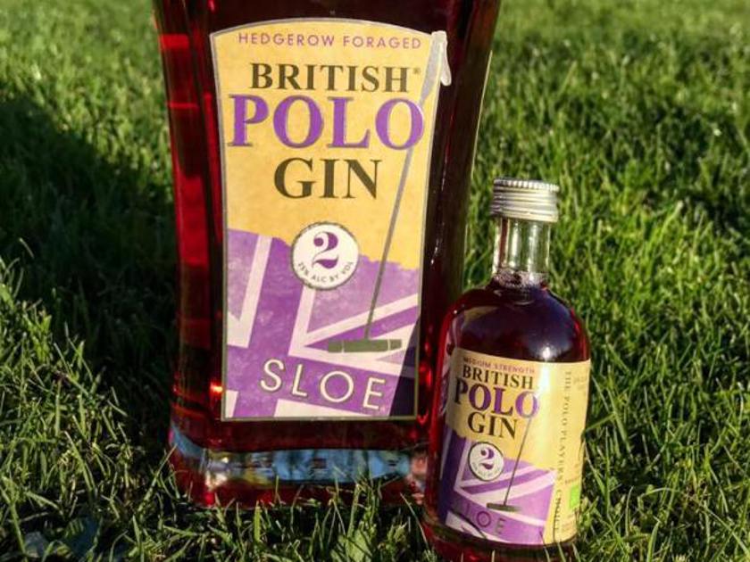 British Polo Gin launches sloe swap for free Sloe Gin in Gloucestershire
