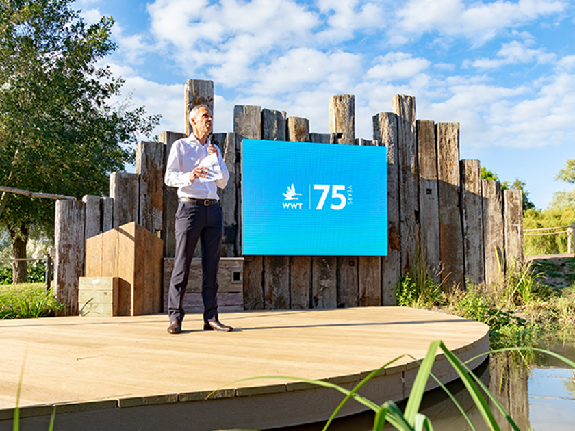 WWT and Slimbridge Wetland Centre celebrates 75th year