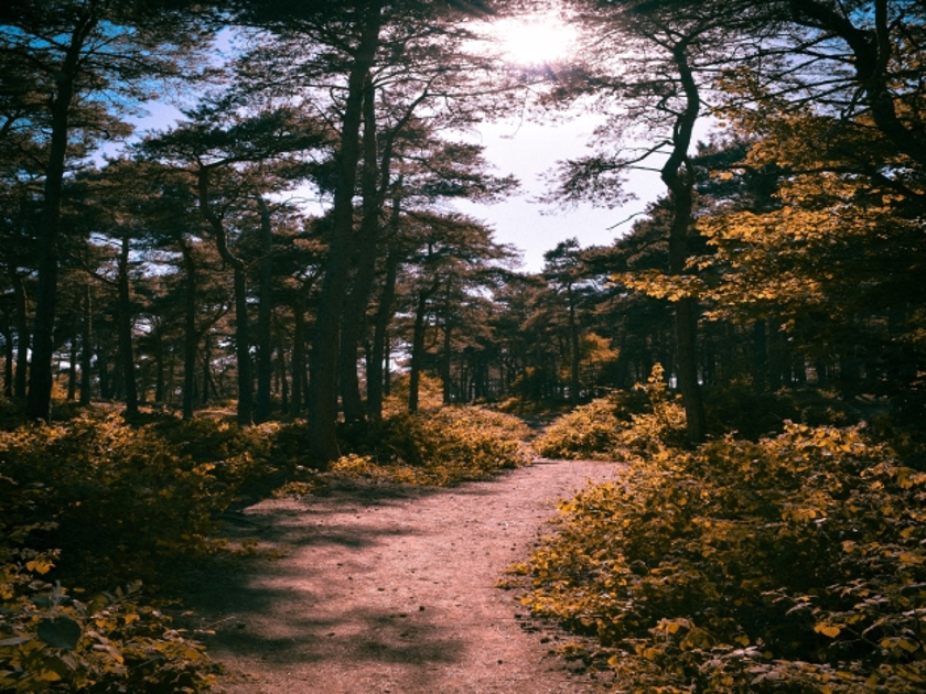 National Trust parks and gardens close in Gloucestershire and UK