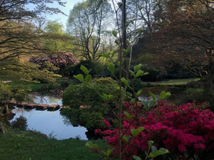 Spring Gardens at Lydney Park Estate 2020