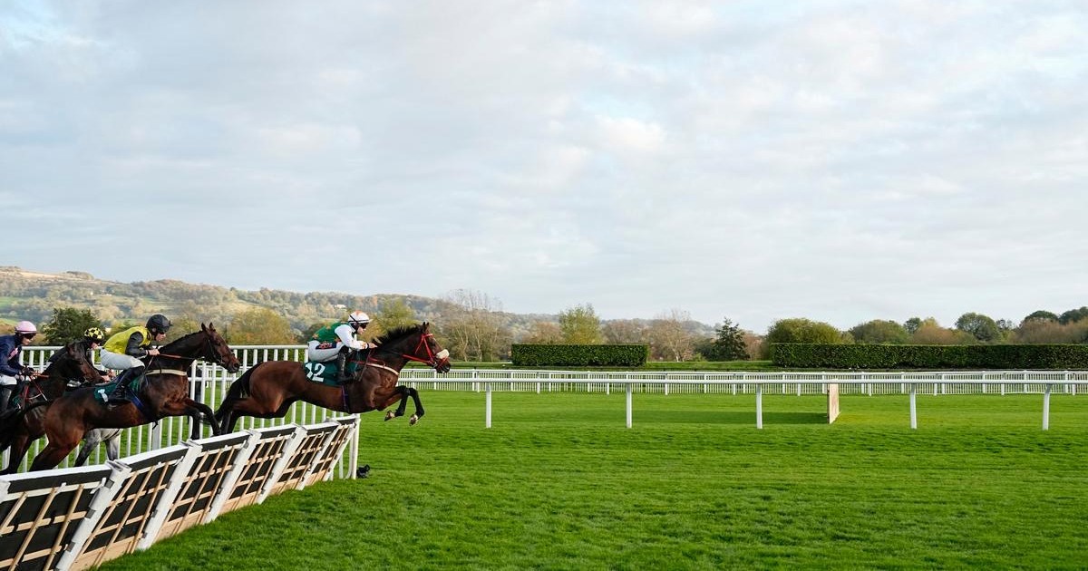The Showcase 2025 at Cheltenham Racecourse, tickets, race times, dates ...