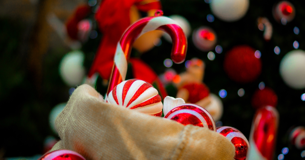 Santa's Grotto at The Fairview Gardener