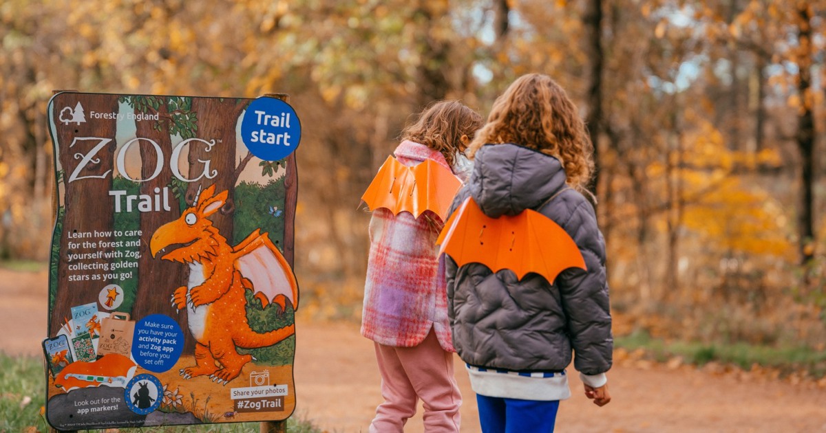New Family Activity Trail To Open In The Forest Of Dean new-family-activity-trail-to-open-in-the-forest-of-dean
