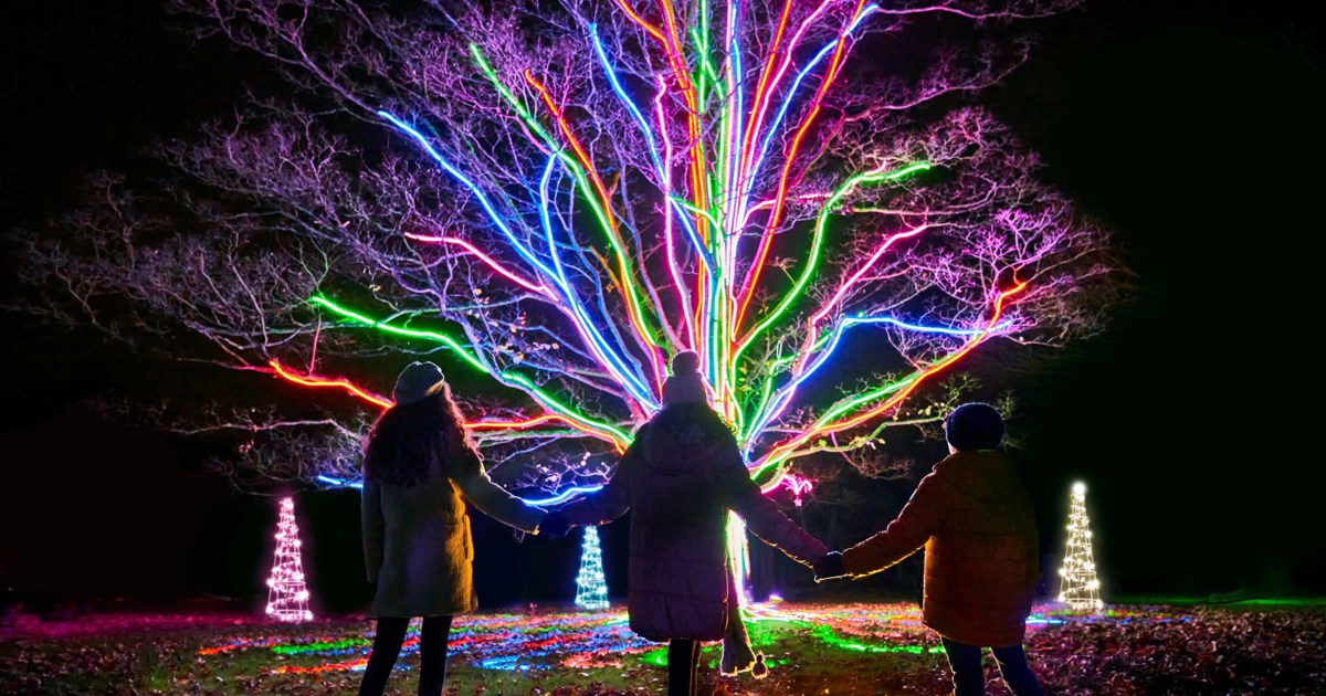 Westonbirt Arboretum launches brand-new Christmas light trail for 2024