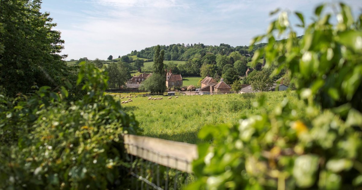850-year-old Forest of Dean farm to be transformed into a vineyard and ...