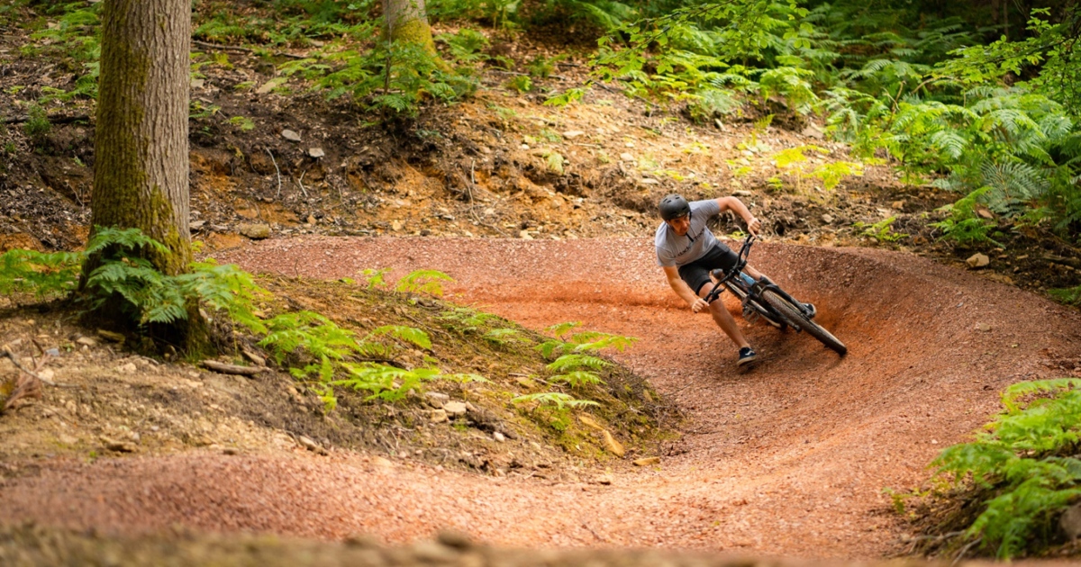 'Iconic' Forest of Dean mountain biking trails reopen after £65,000 ...