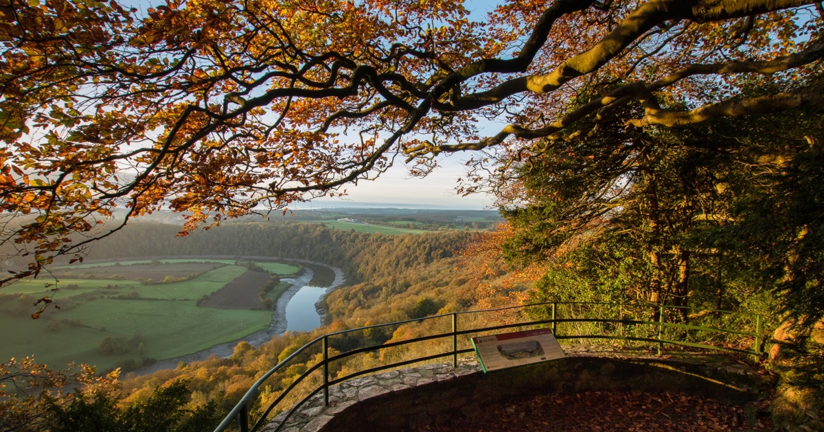 The best places to see autumn colour in the Forest of Dean and the Wye ...