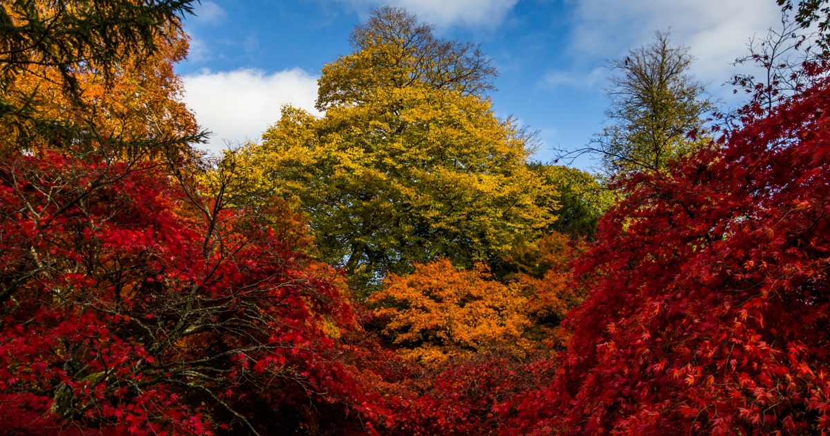 Where to see stunning autumn colour in Gloucestershire