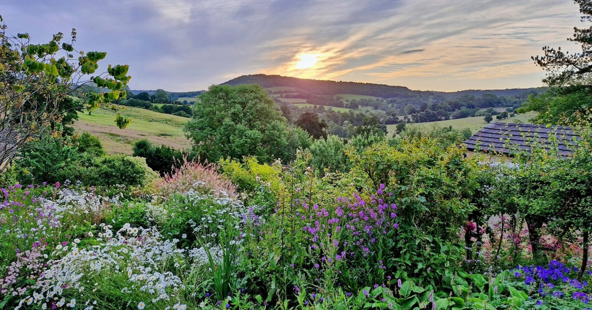 Cotswold Way walking trail one of the best in UK to spot wildflowers