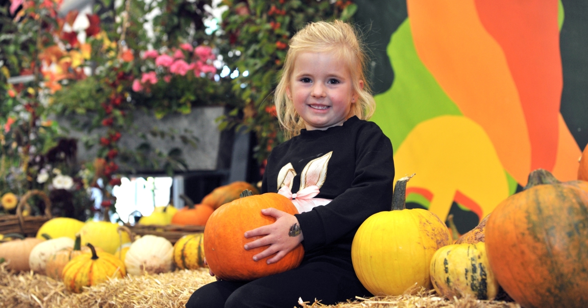 See world's biggest vegetables at the Malvern Autumn Show 2026
