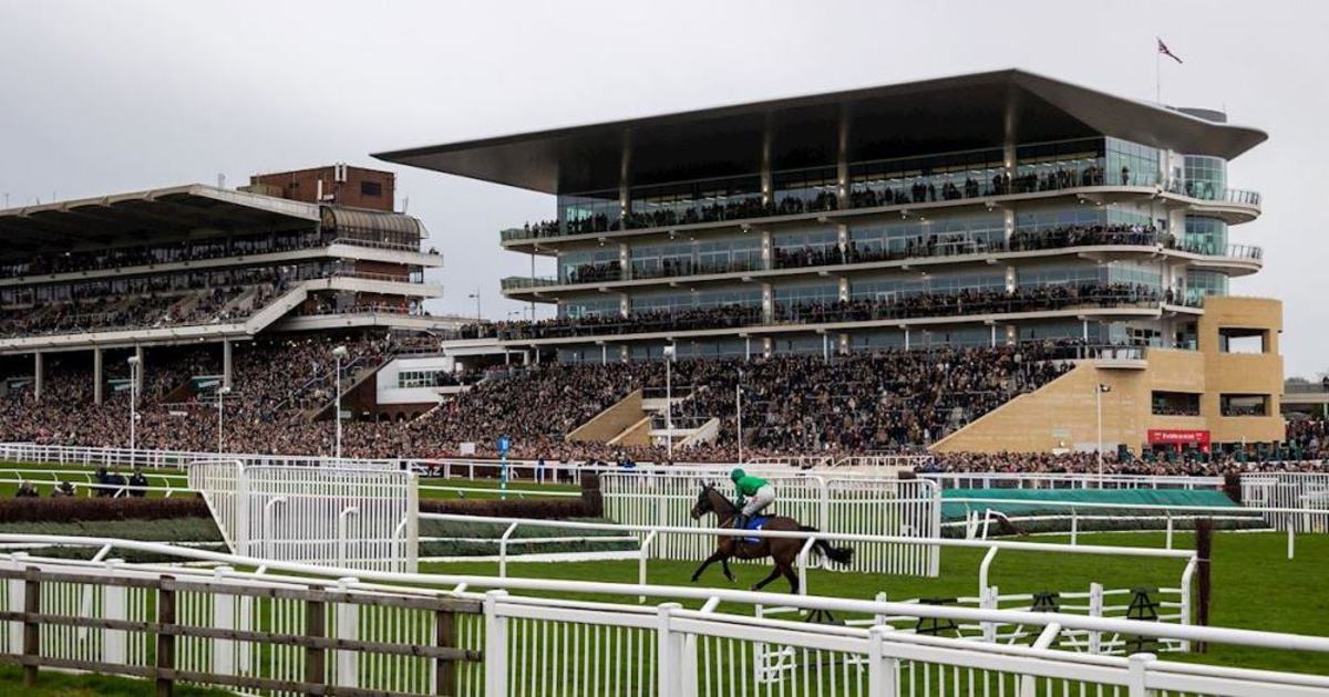 New Year's Day Racing at Cheltenham Racecourse 2025, tickets, info, timings
