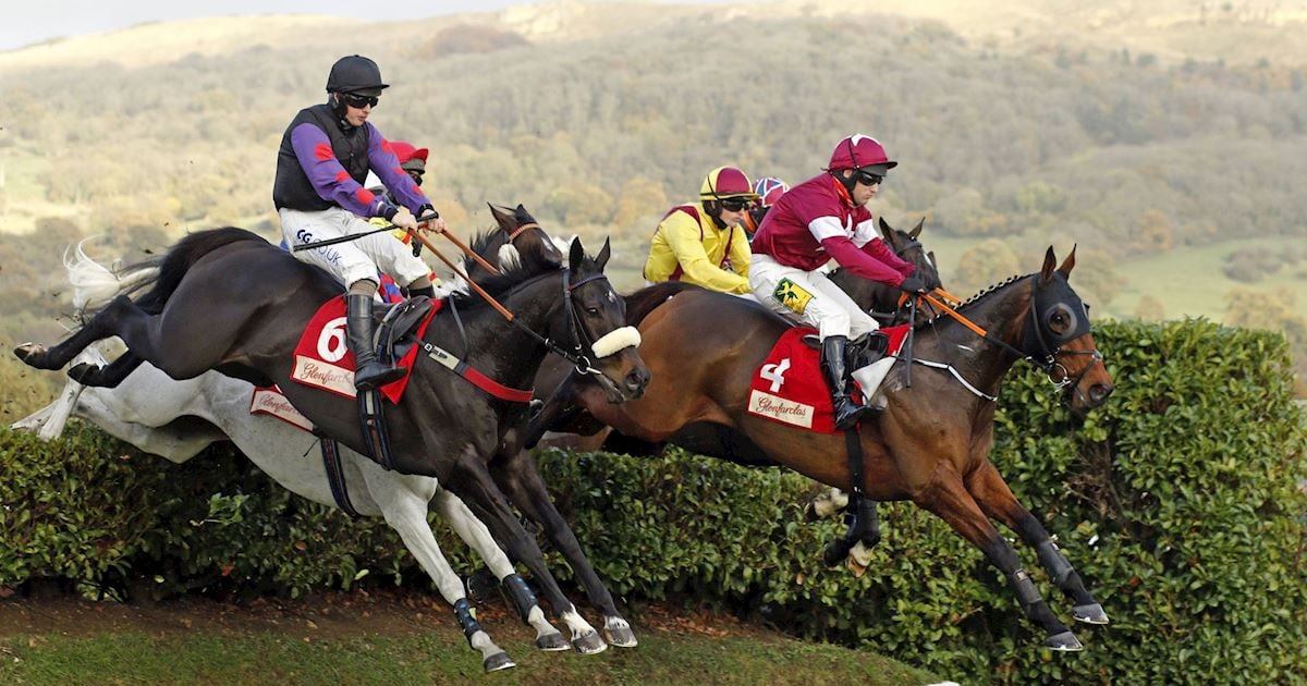 The November Meeting at Cheltenham Racecourse 2024