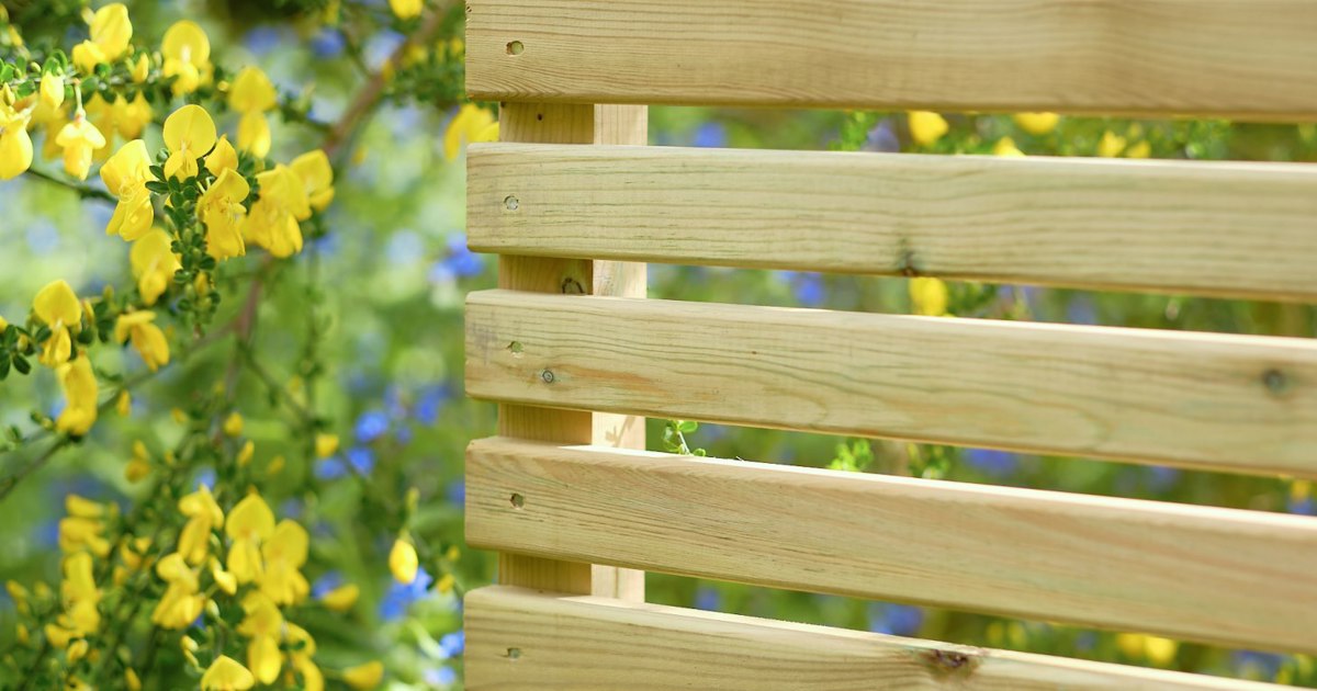 Meet the Cheltenham timber company doing its bit for the environment