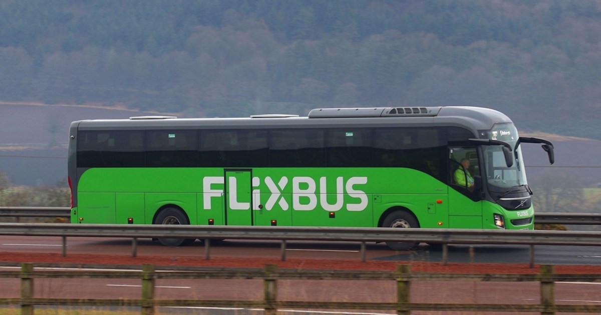 International coach business expands to offer new routes and ...